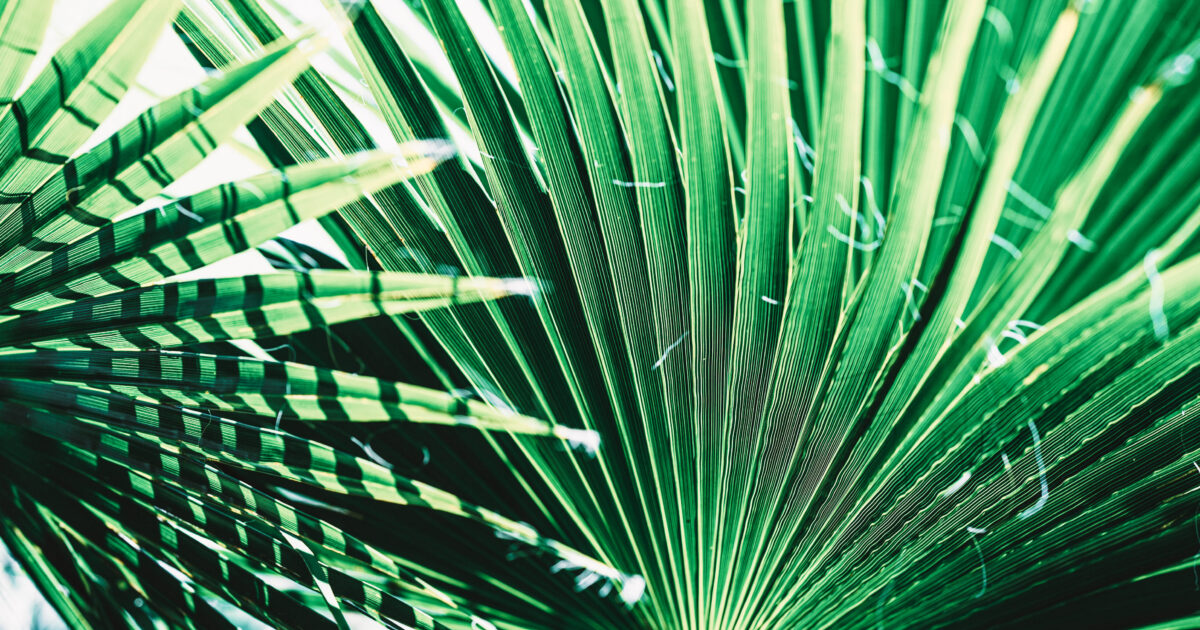 Sustainability at Berenberg - Berenberg