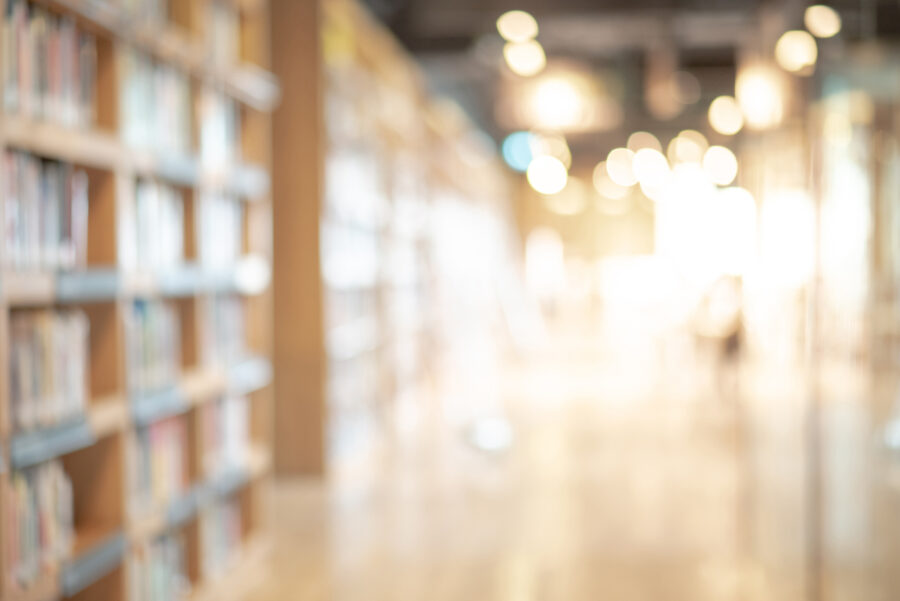 Anleihen vs. Aktien – Was passt besser zu dir? - Berenberg